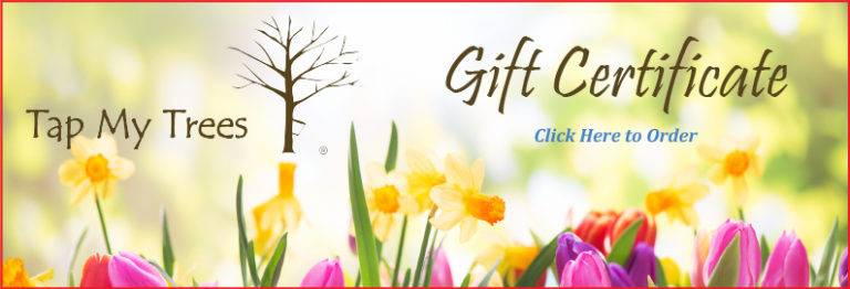 Home - Tap My Trees - Maple Sugaring for the Hobbyist - Maple Syrup ...